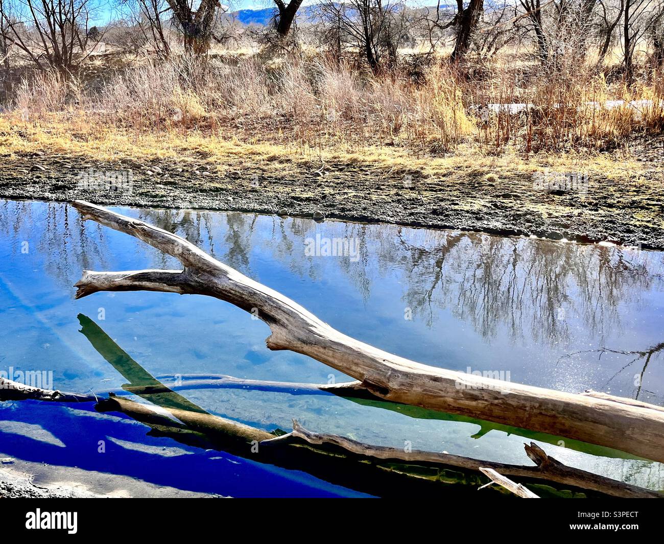 River runs through it Stock Photo - Alamy