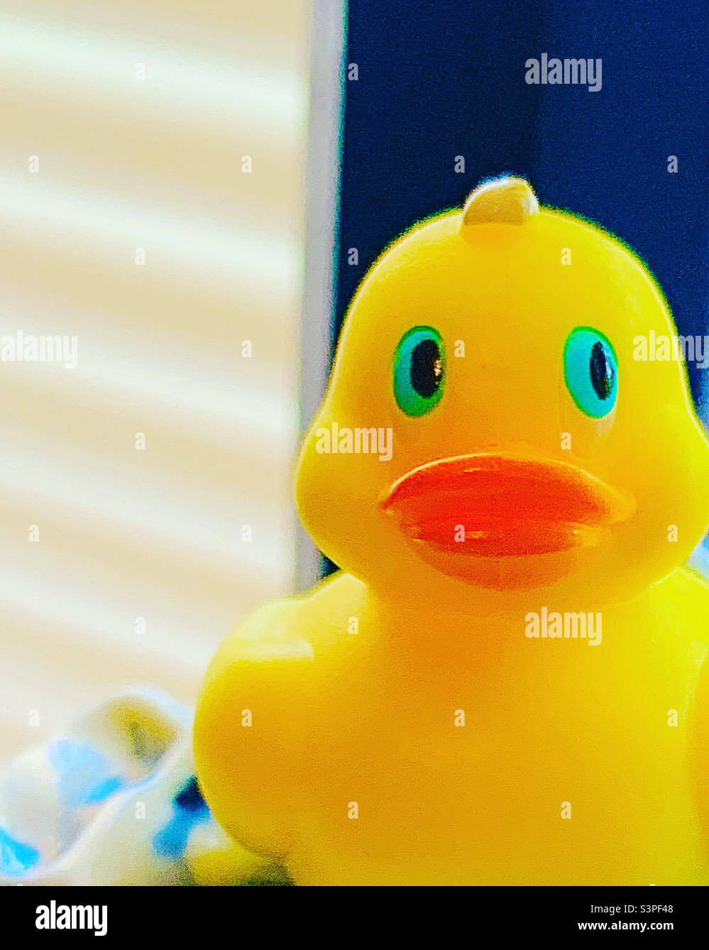 Squeaky rubber duck hi-res stock photography and images - Alamy