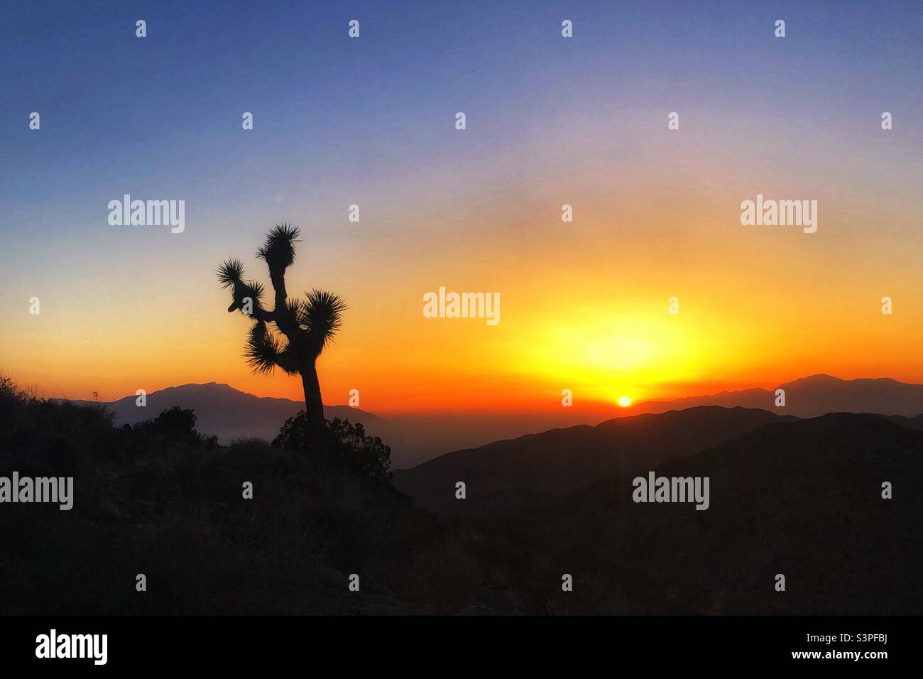 Joshua tree keys view hi-res stock photography and images - Alamy