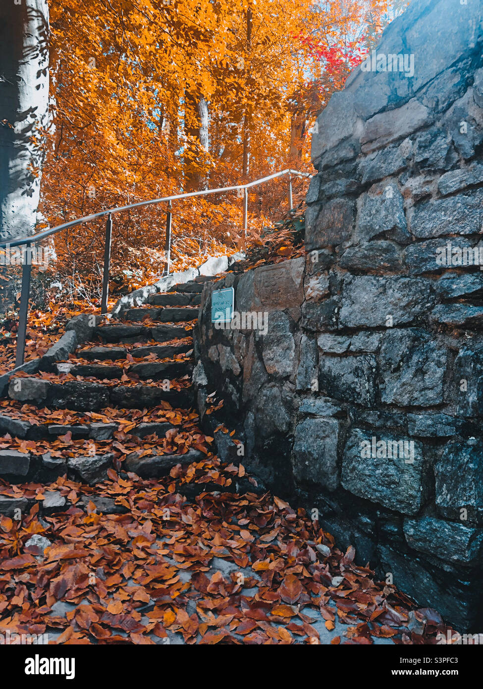 Fall stairs hi-res stock photography and images - Alamy