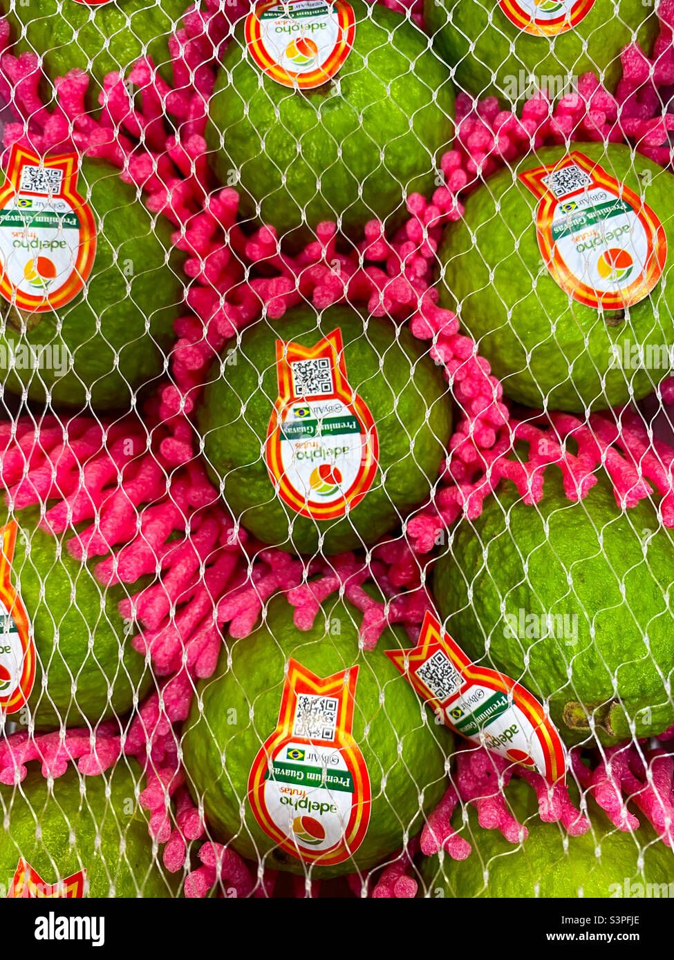 Guava fruits in a box held in place by a mesh Stock Photo - Alamy