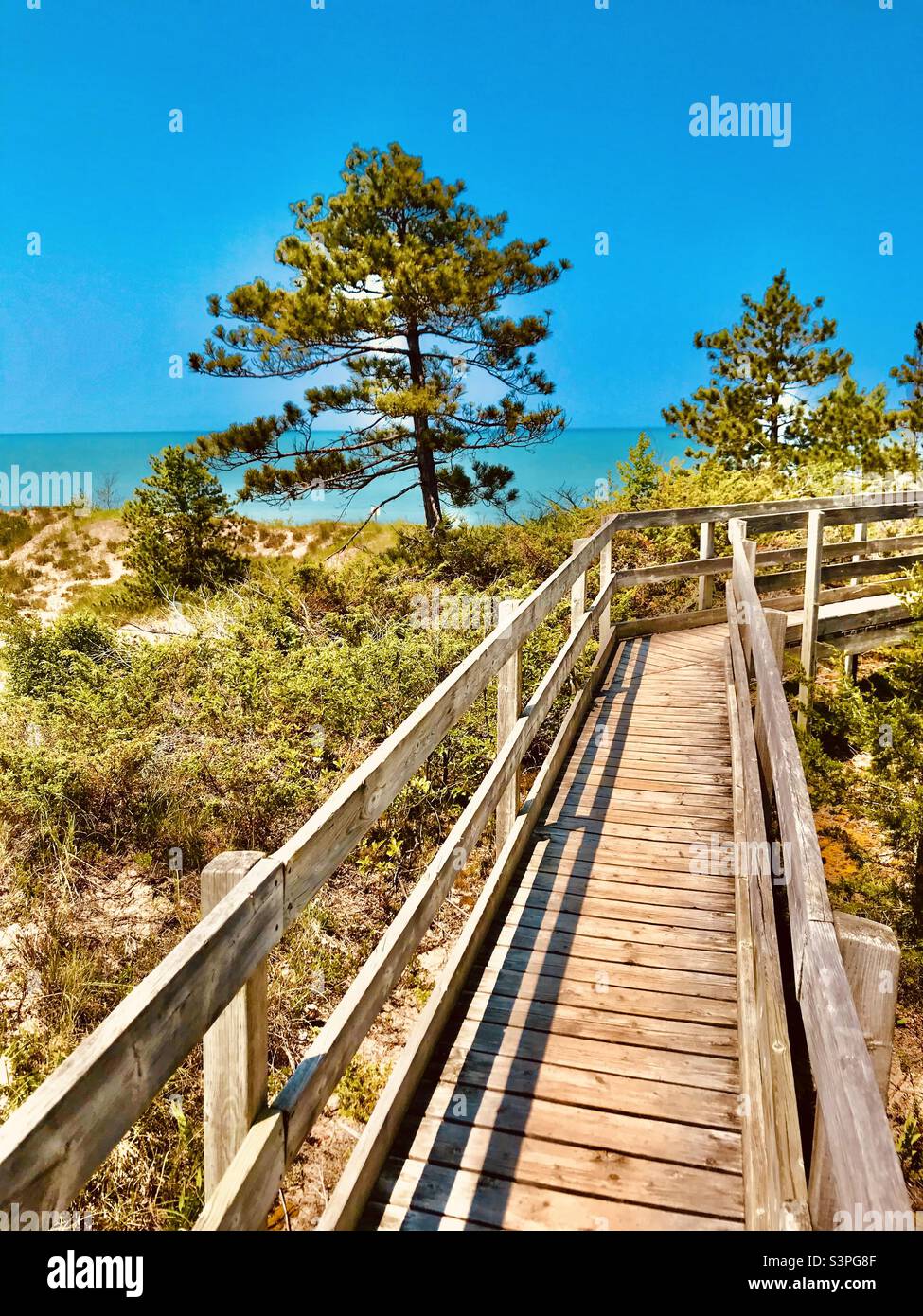 A boardwalk leads over the dunes to the lake shore at pinery provincial ...