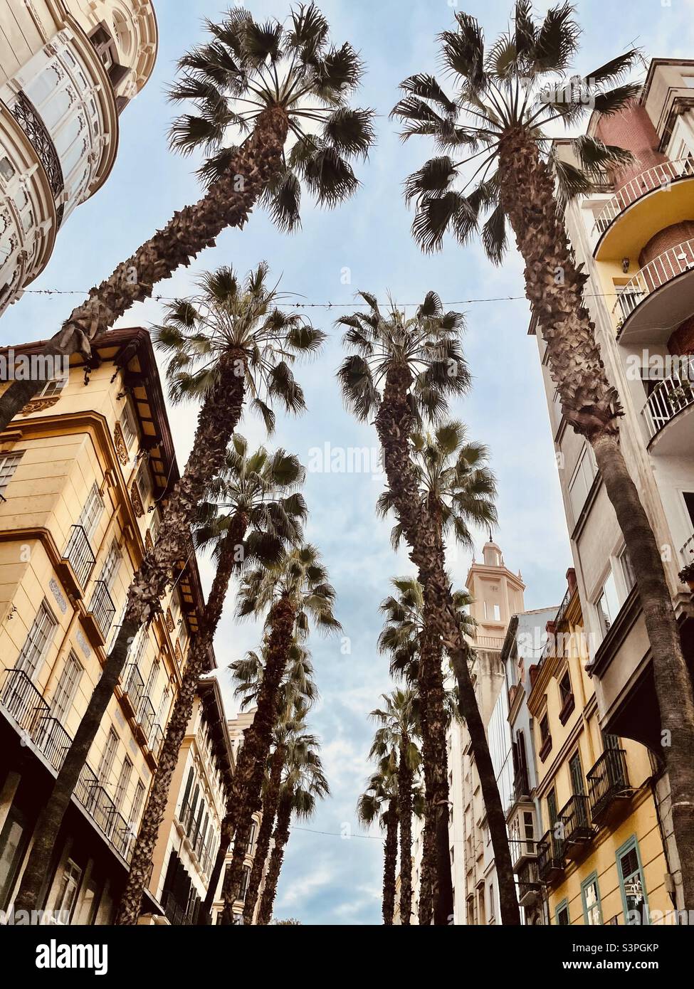 Beautiful buildings and trees hi-res stock photography and images - Alamy