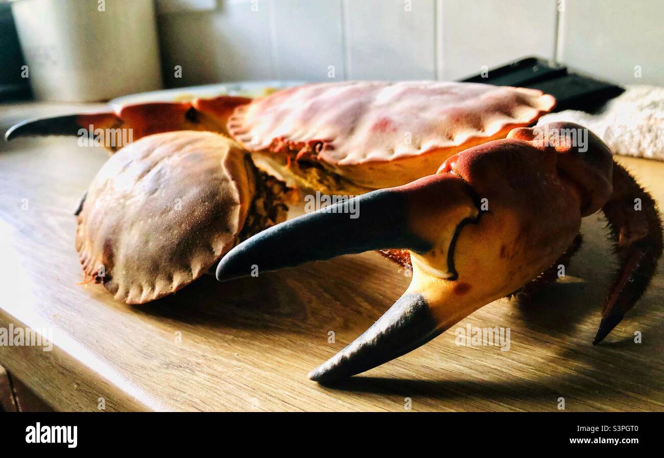 Average sized hi-res stock photography and images - Alamy