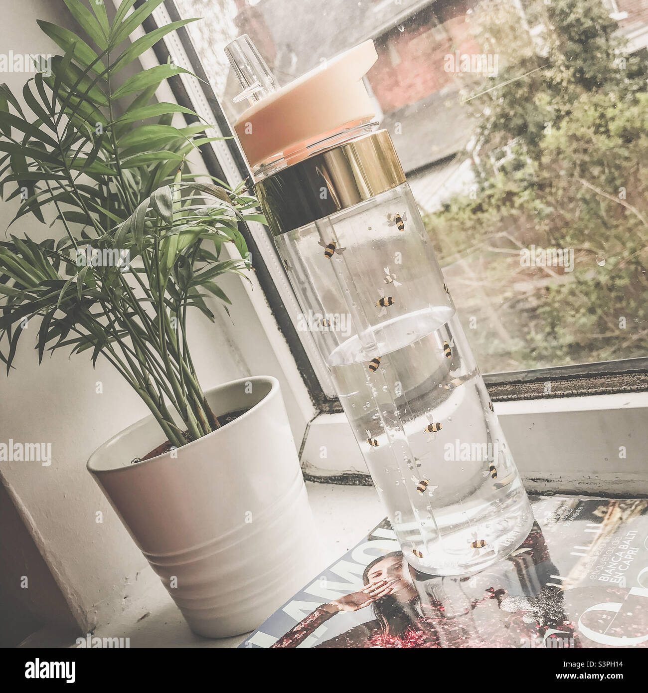 Water bottle & plant on a window sill Stock Photo - Alamy