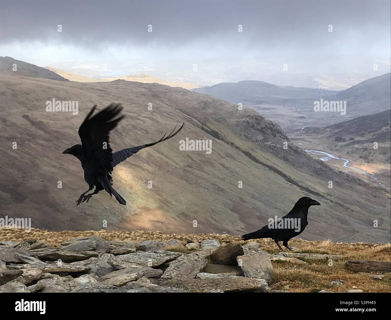 Braich hi-res stock photography and images - Alamy