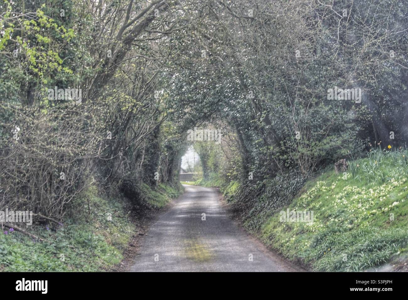 Archway walk hi-res stock photography and images - Alamy