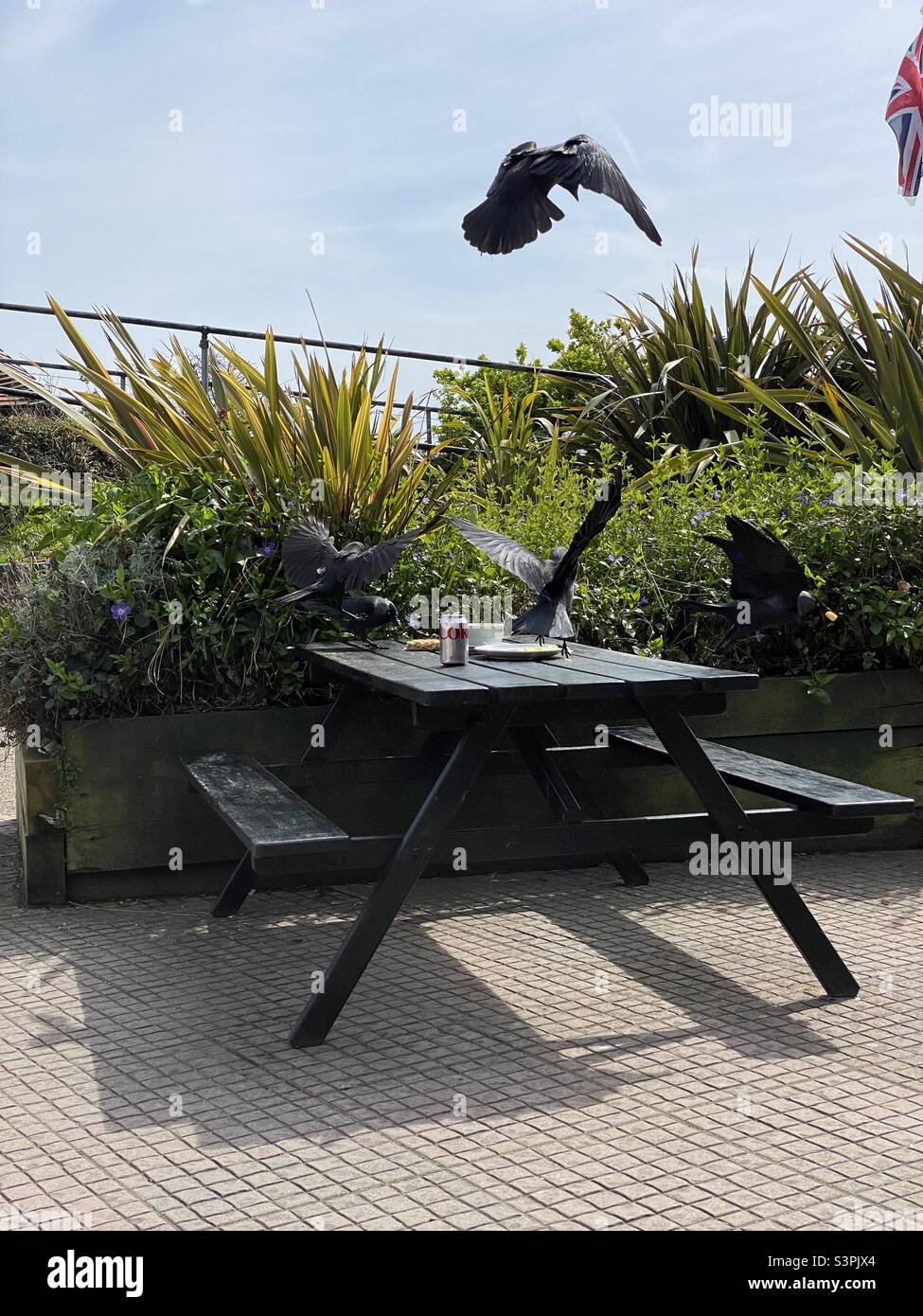 Cafe picnic table hi-res stock photography and images - Alamy