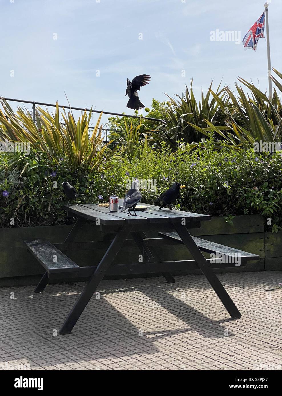 A black jack table hi-res stock photography and images - Alamy