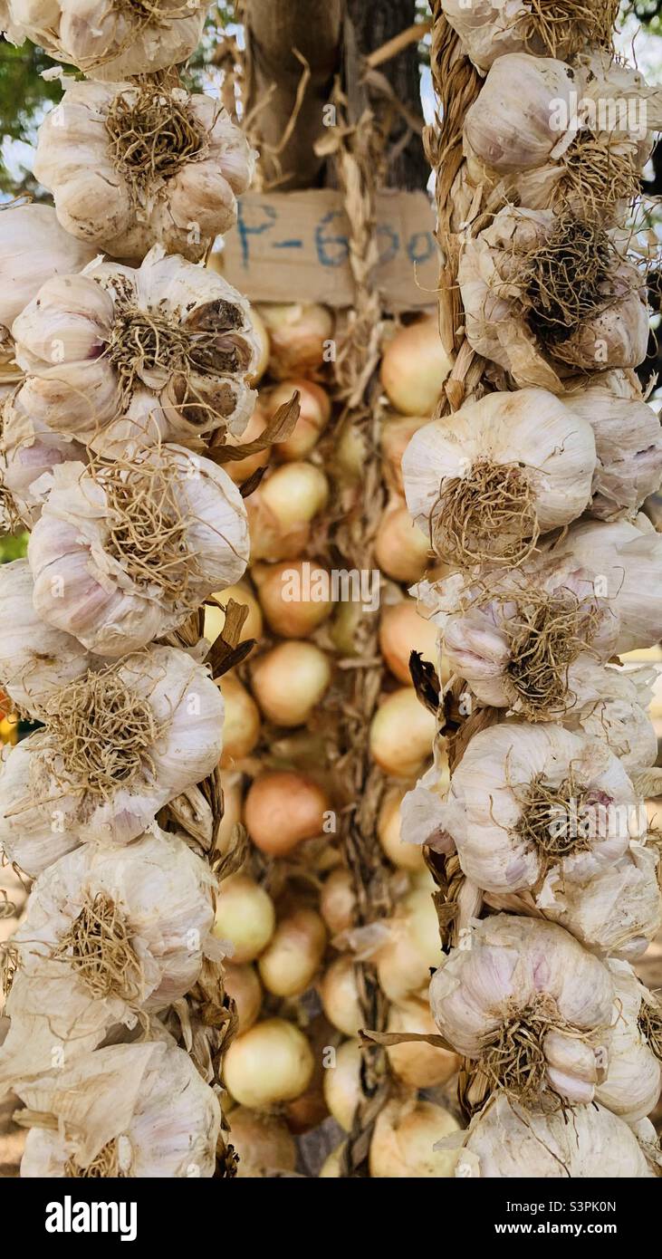 Garlic in cuba hi-res stock photography and images - Alamy