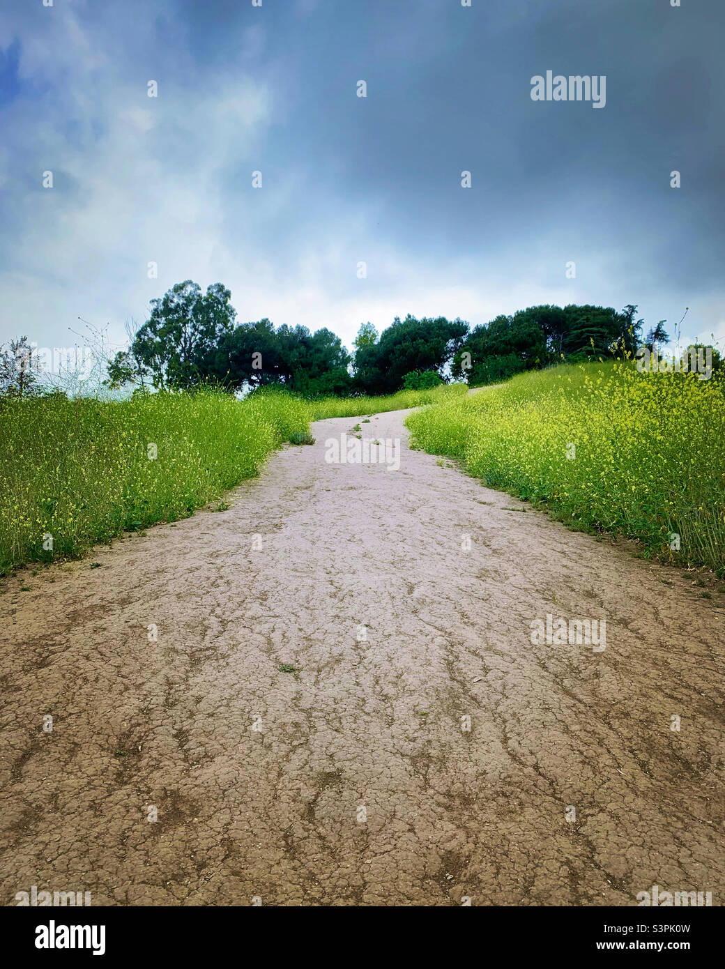 Debs park hi-res stock photography and images - Alamy