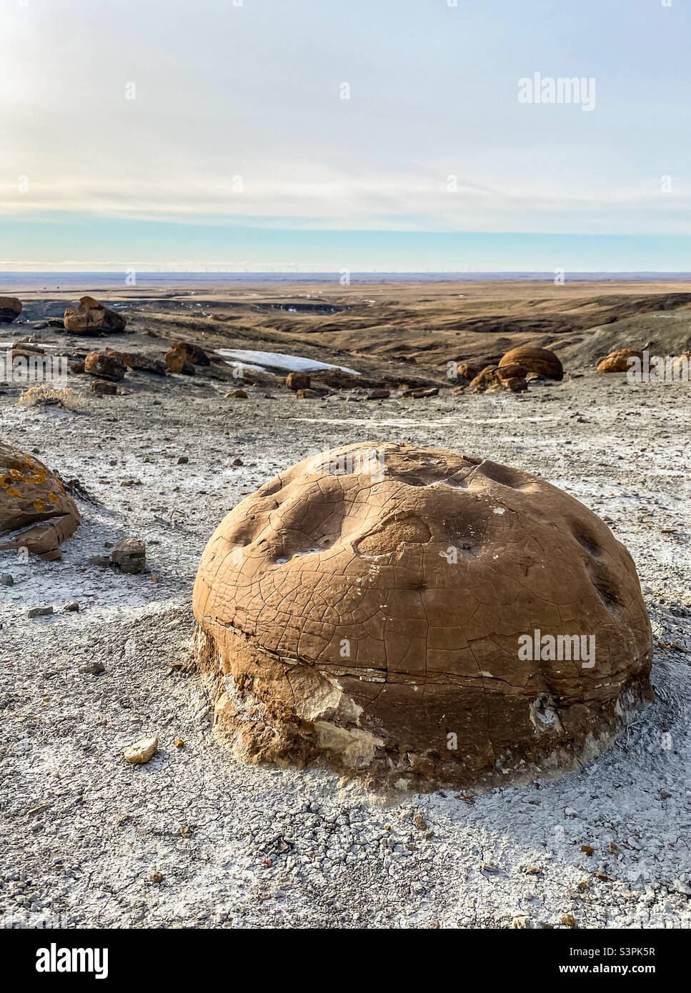 Sandstone Concretion