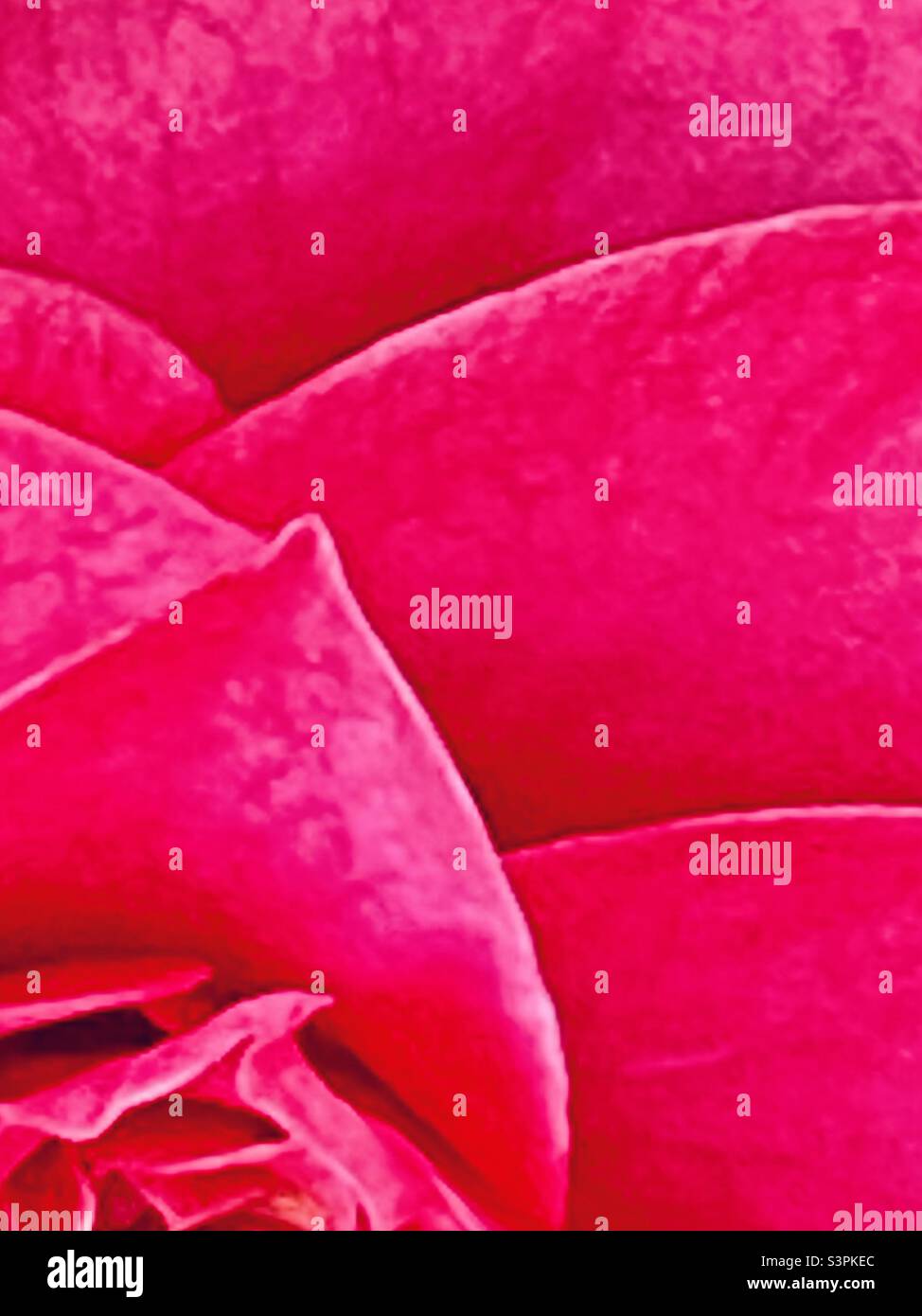 Block colour hi-res stock photography and images - Alamy