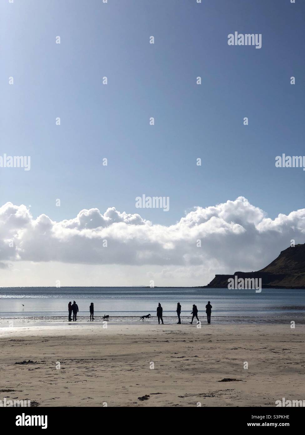 People on Calgary bay at low tide, Isle of Mull, Scotland Stock Photo ...