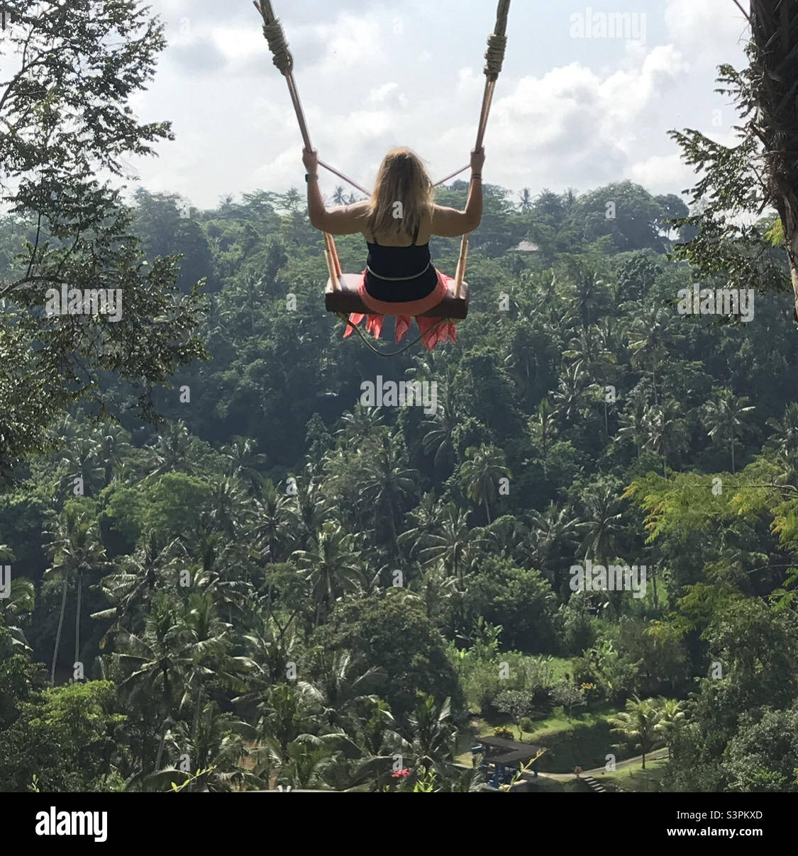 Flower height hi-res stock photography and images - Alamy