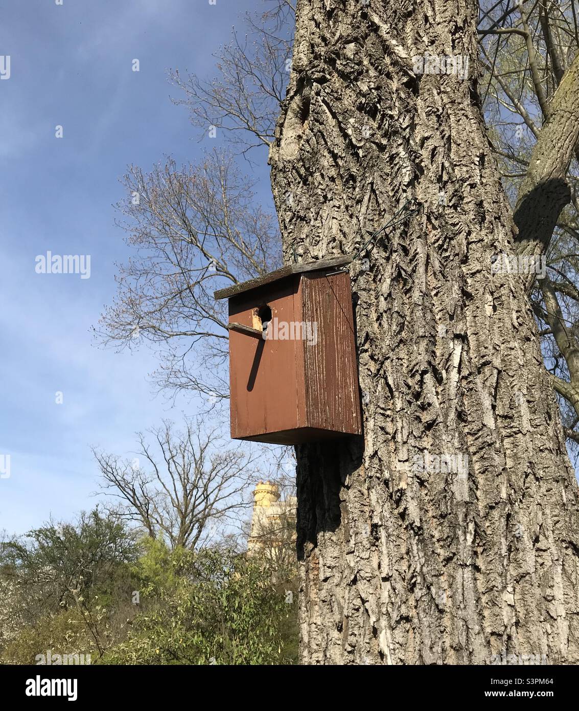 Nest Box on a Tree Trunk Stock Photo - Alamy