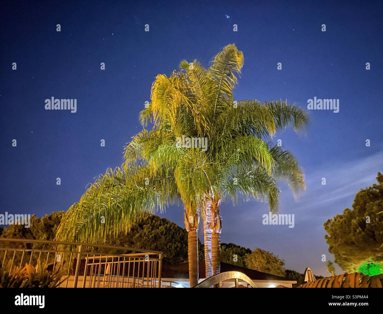 Palm tree night sky hi-res stock photography and images - Alamy