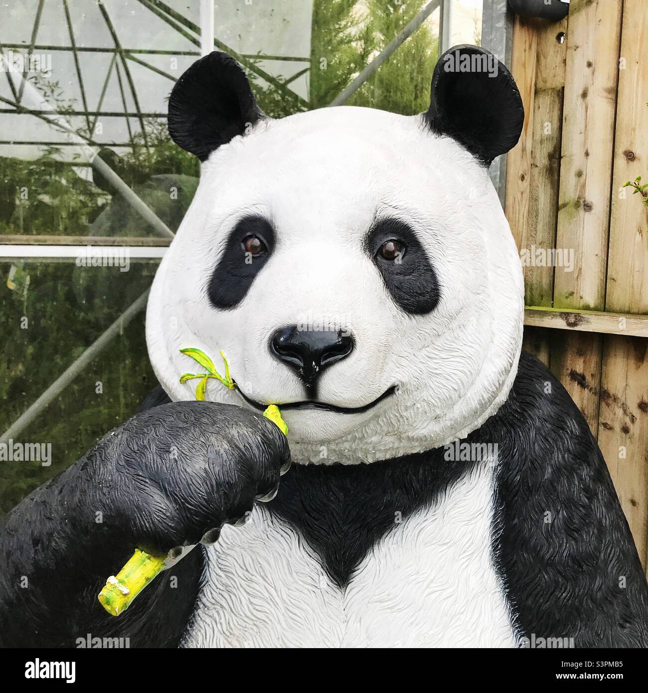 Giant panda model hi-res stock photography and images - Alamy