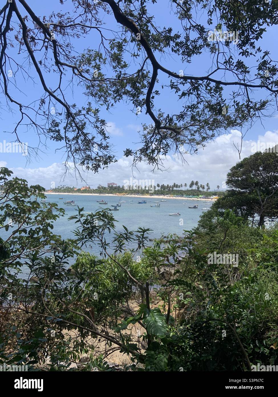 Pernambuco beach hi-res stock photography and images - Alamy