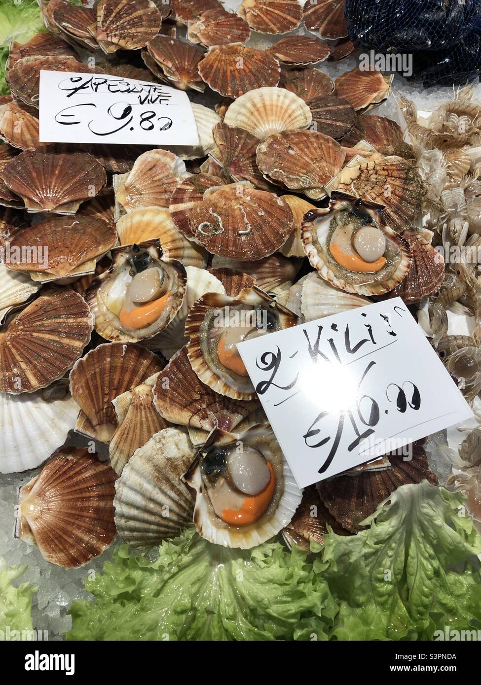 Muscles and clams in fish market in Italy Stock Photo - Alamy