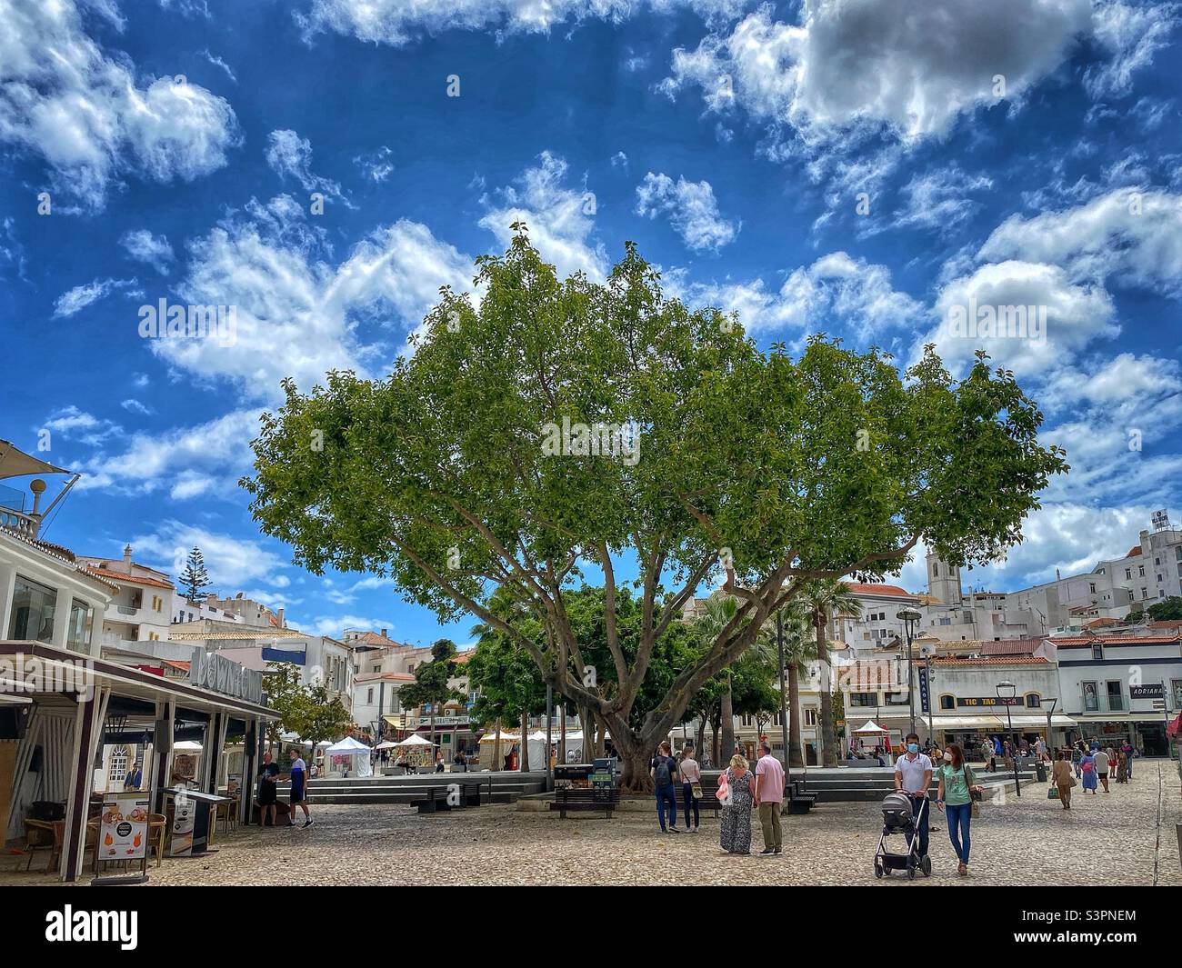 Old town square in Albufeira with big green tree, Algarve, Portugal ...