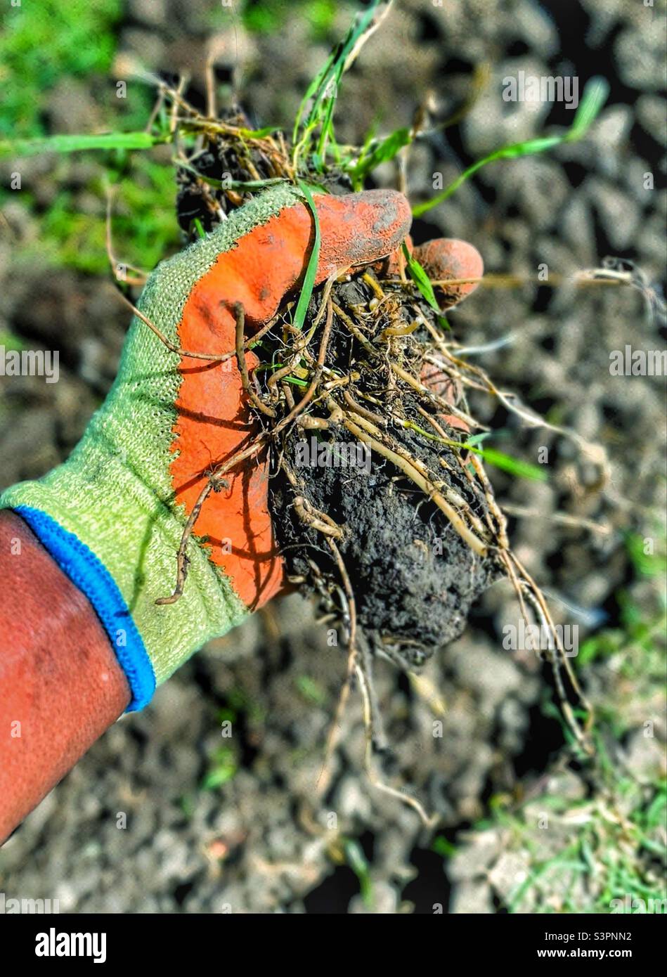 Garden spring weeding hi-res stock photography and images - Alamy