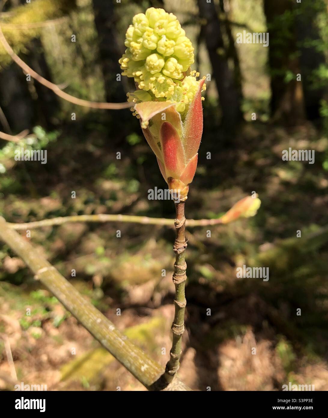 Looking at signs hi-res stock photography and images - Alamy