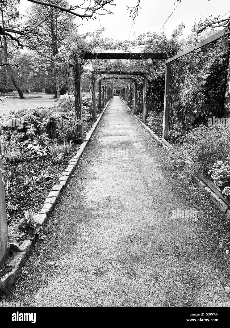 Rose pergola walk at Blarney Castle Gardens Stock Photo - Alamy