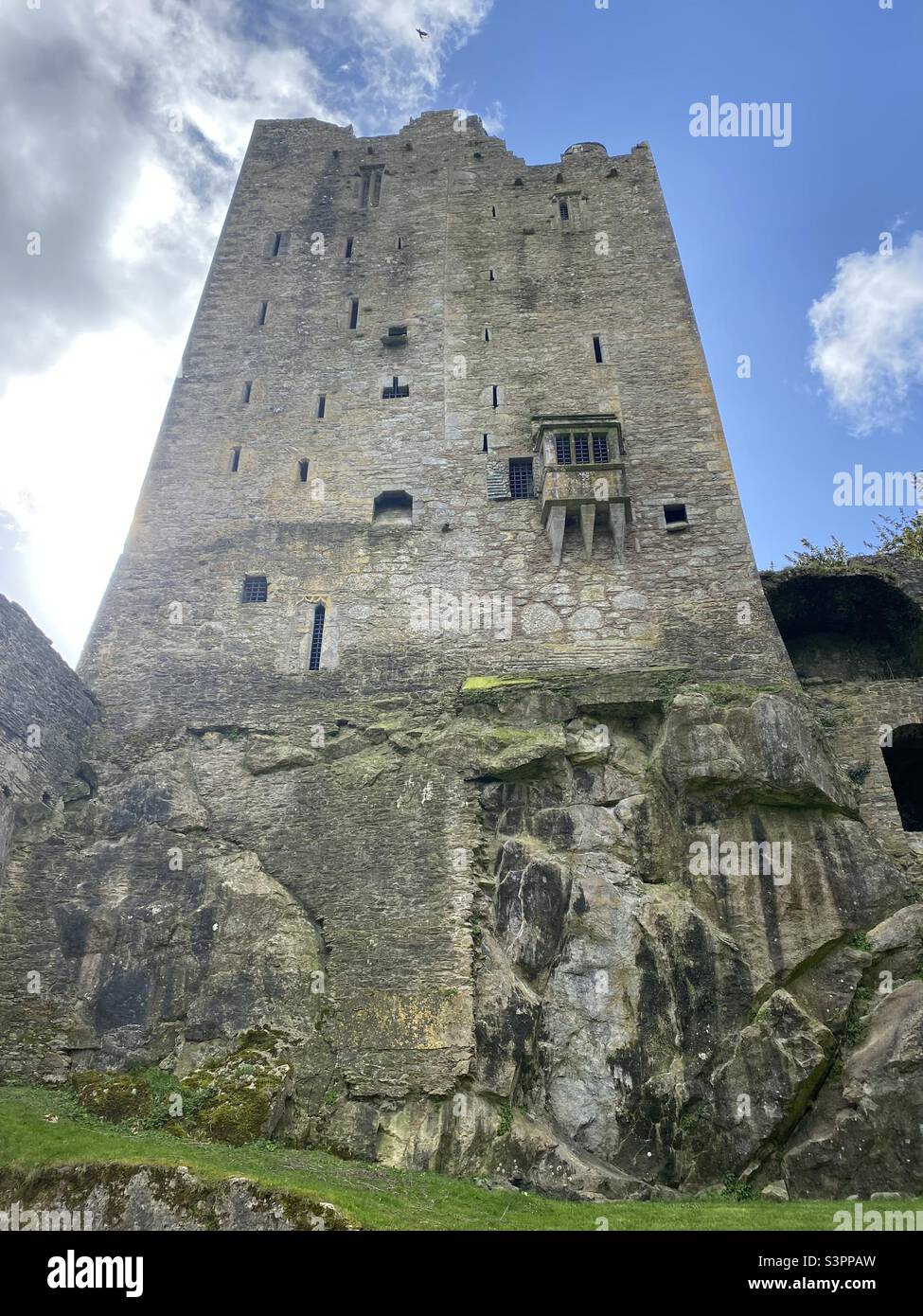 Foundations and exterior wall of Blarney Castle Stock Photo - Alamy