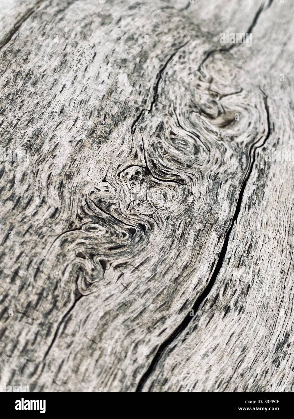 Knotty texture hi-res stock photography and images - Alamy