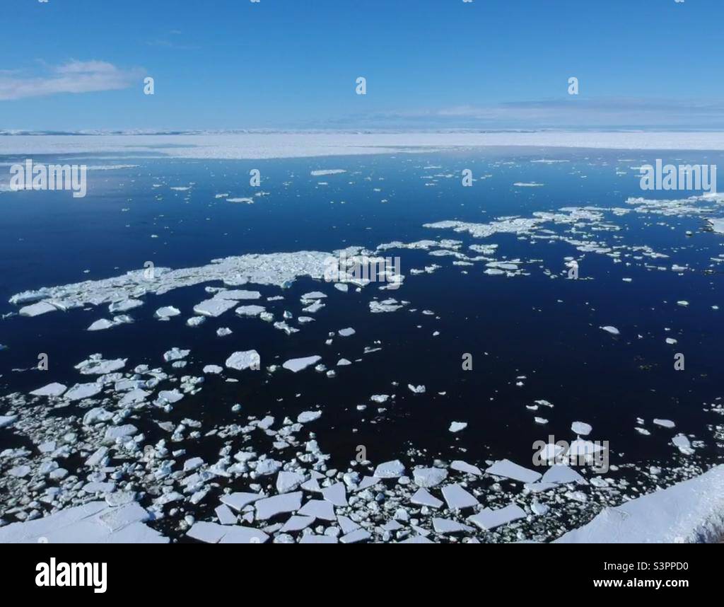Seaice hi-res stock photography and images - Alamy
