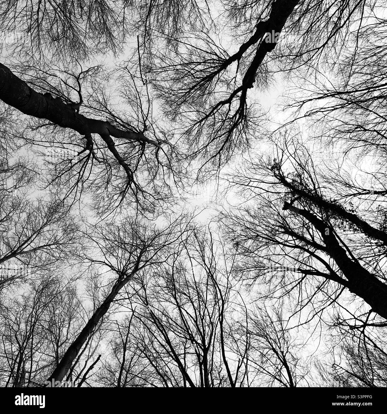 Frog view hi-res stock photography and images - Alamy