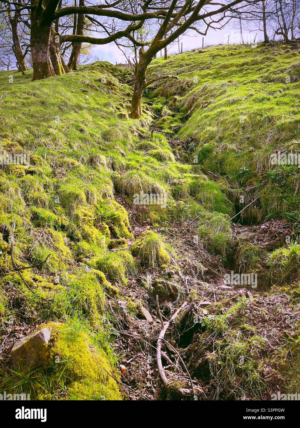 Take the path less travelled Stock Photo - Alamy