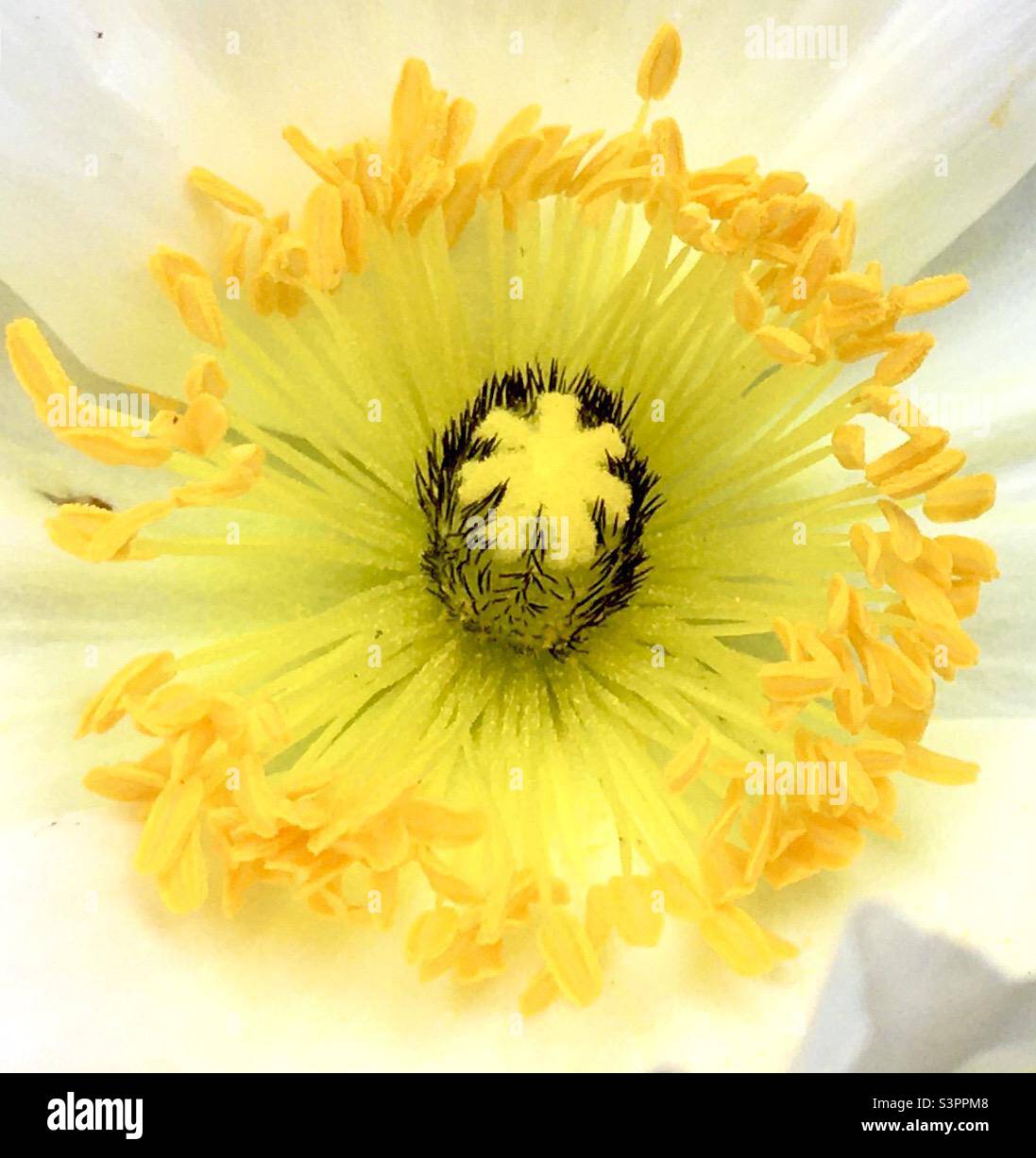 White awe hi-res stock photography and images - Alamy