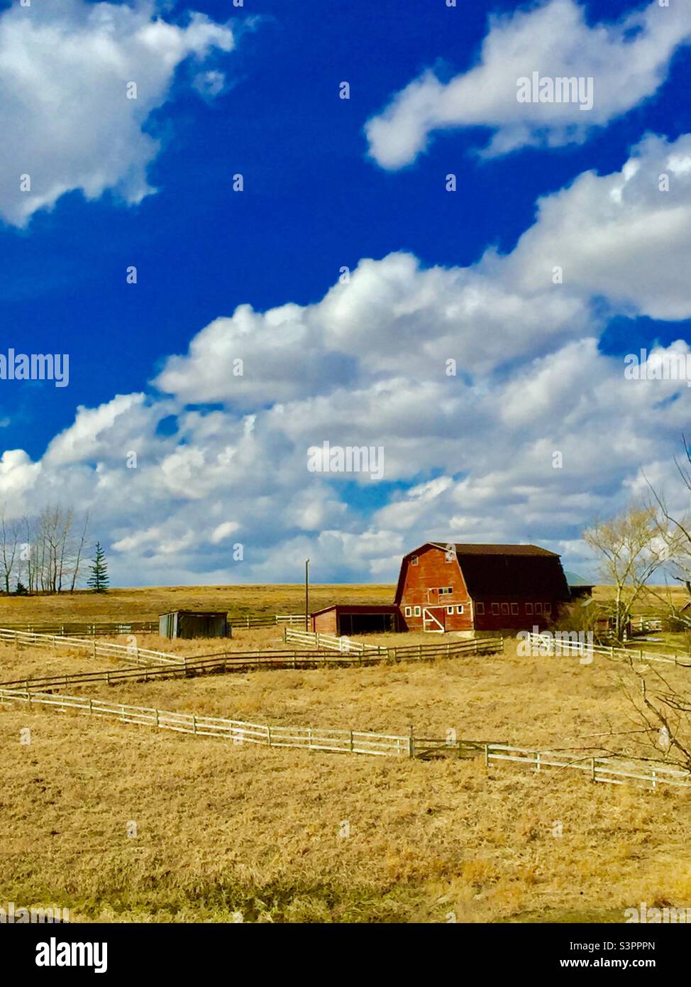 Historic barn, Calgary, Alberta, fields, agriculture, farming, blue sky ...