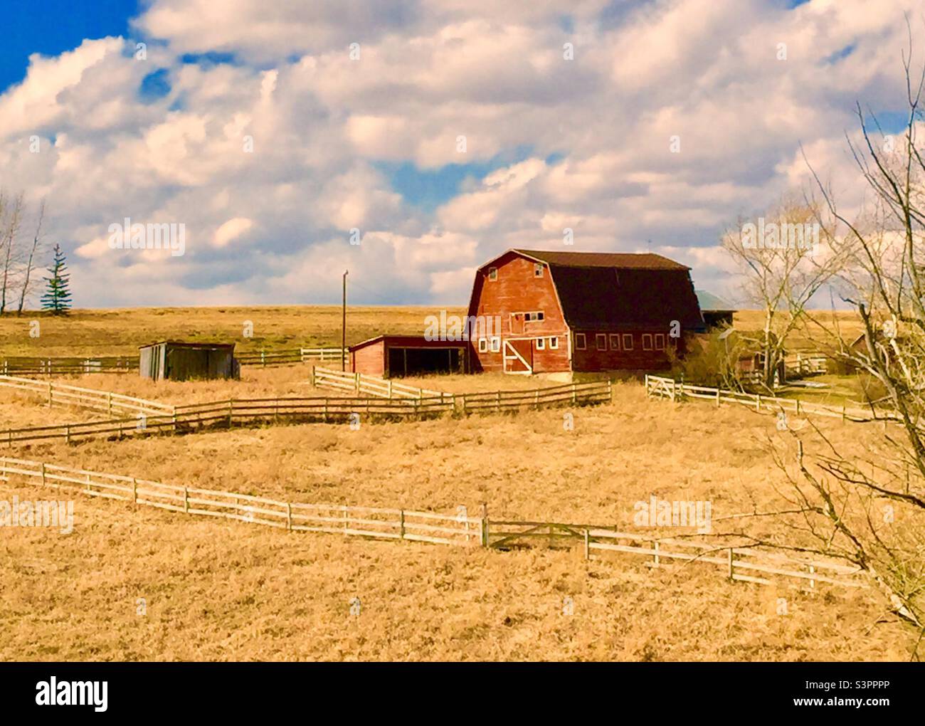 Historic barn, Calgary, Alberta, fields, agriculture, farming, blue sky ...