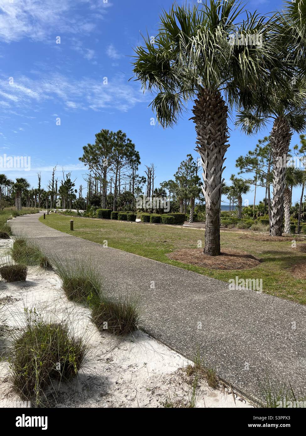 Walkway leading to St. Joseph Bay in Port St. Joe Florida Stock Photo ...