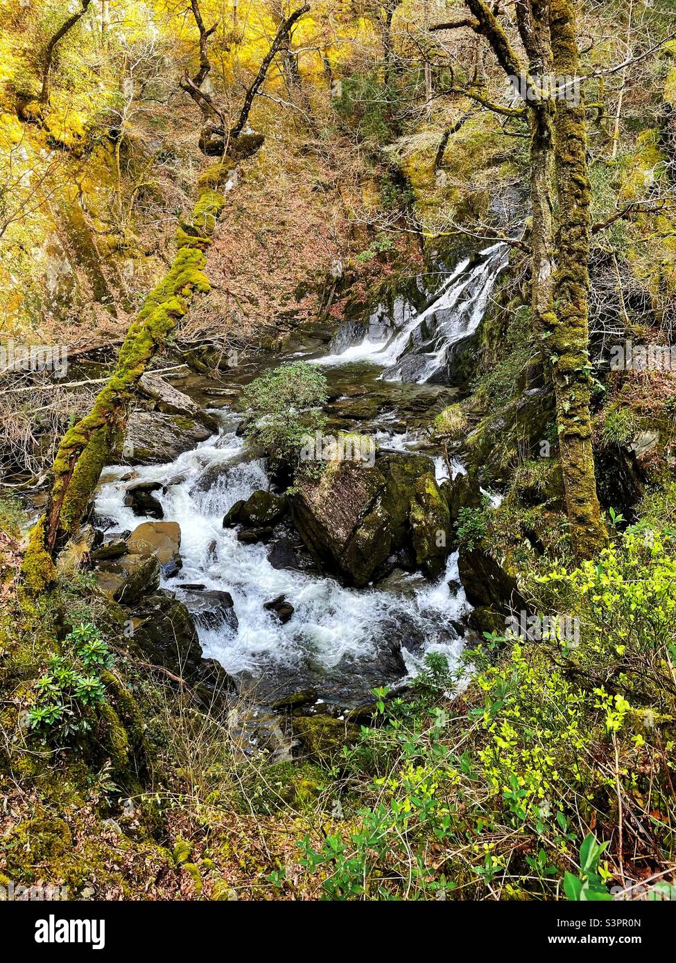 The base of the waterfalls at Devil’s bridge at the bottom of the ...