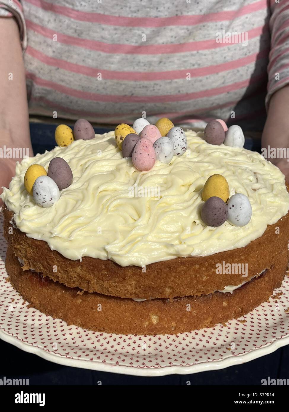 Victoria Sponge Cake with Chocolate Eggs baked for Easter Stock Photo ...
