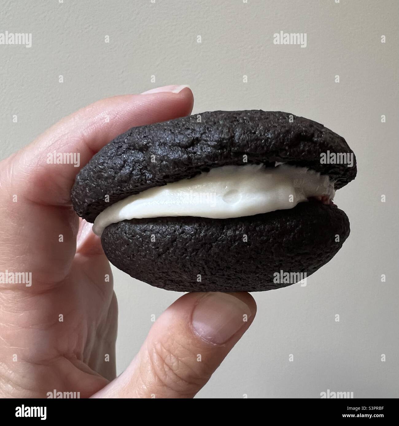Holding a chocolate homemade Whoopie Pie made with marshmallow Fluff ...