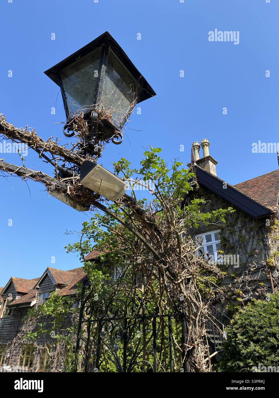 High overgrown rocks hi-res stock photography and images - Alamy