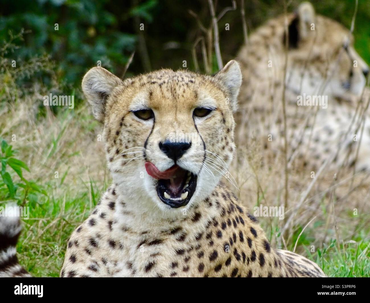Adventure hungry hi-res stock photography and images - Alamy