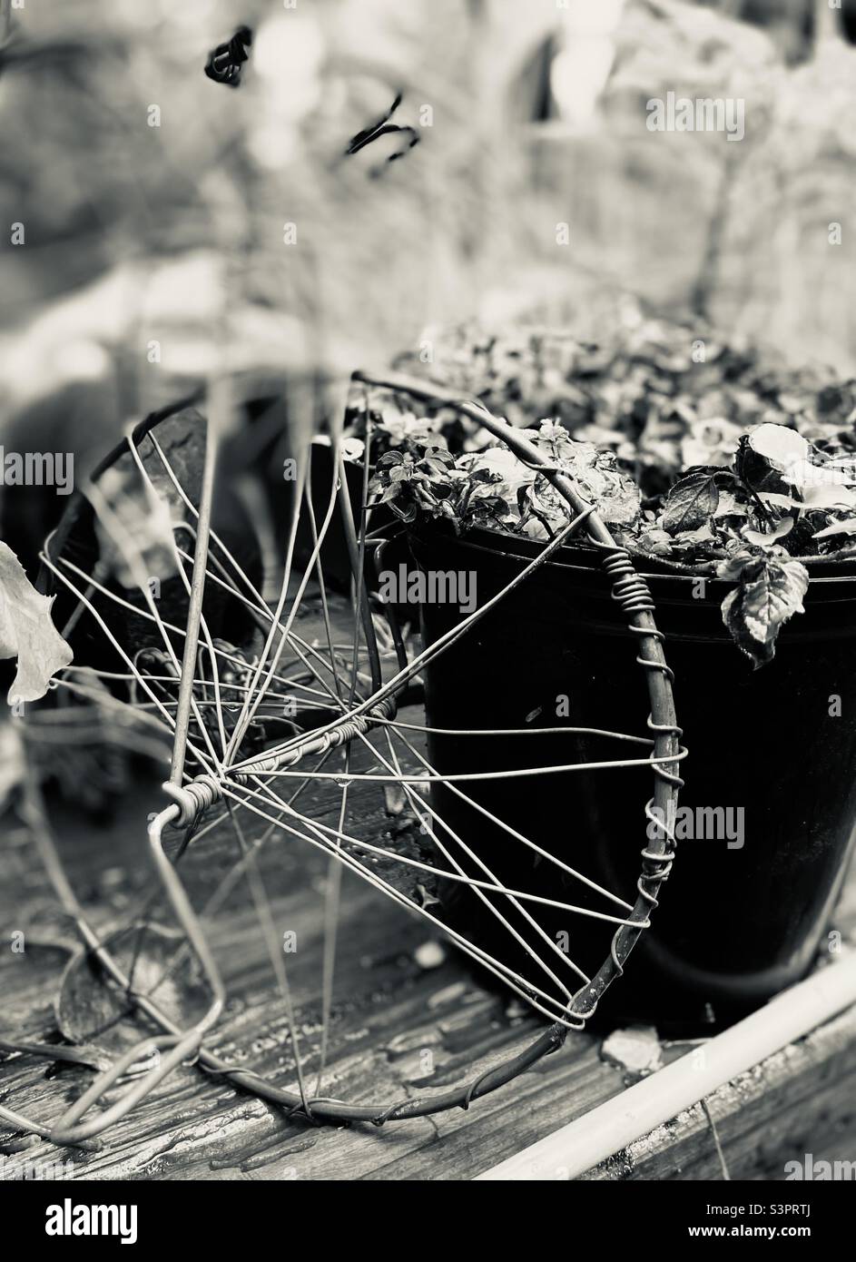 Wire bicycle hi-res stock photography and images - Alamy