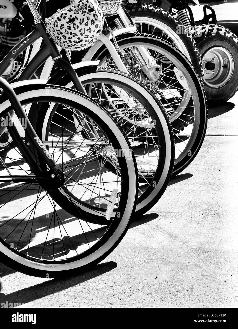 Low angle wheels for family black/white Stock Photo - Alamy
