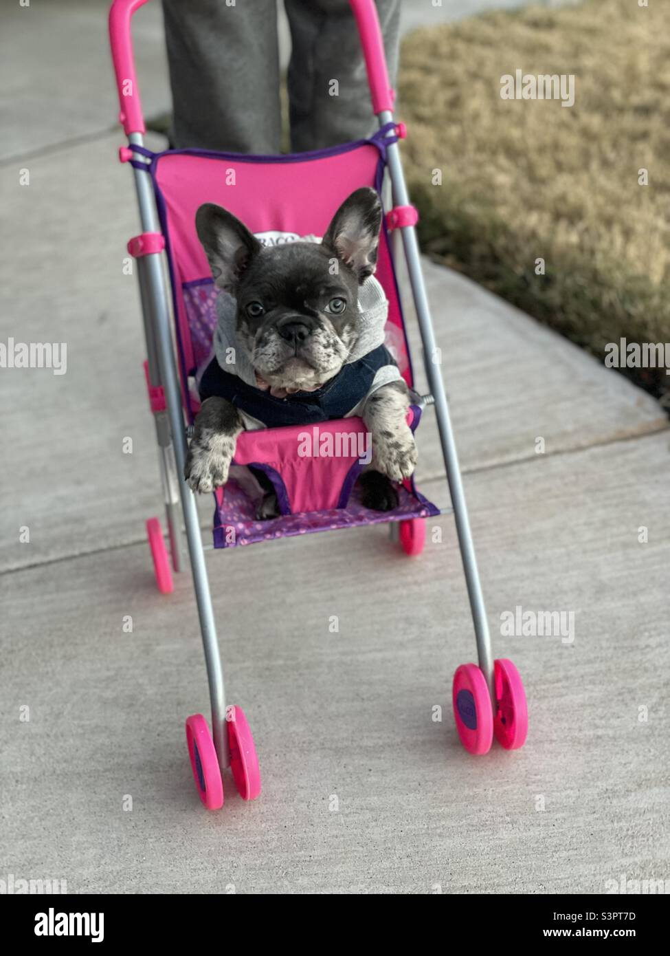 Girl french hi-res stock photography and images - Alamy