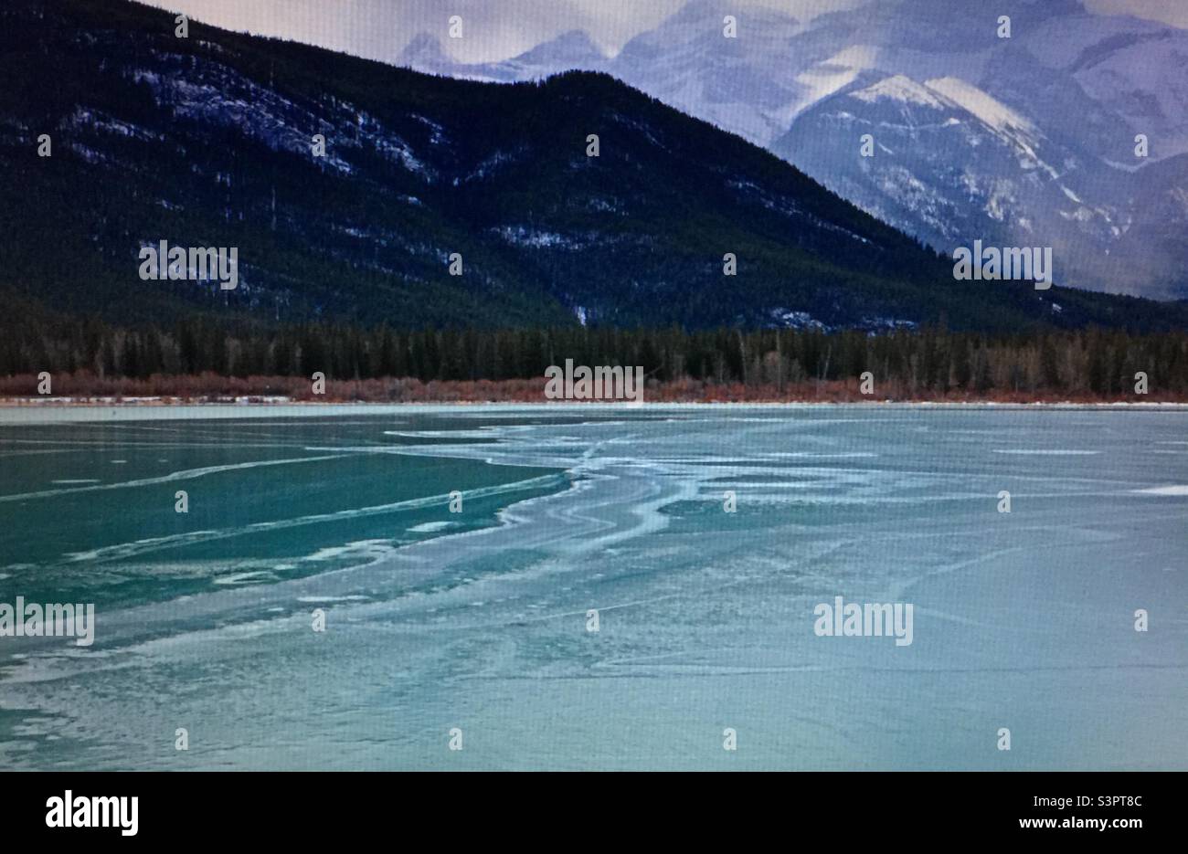 Spring gap hi-res stock photography and images - Alamy