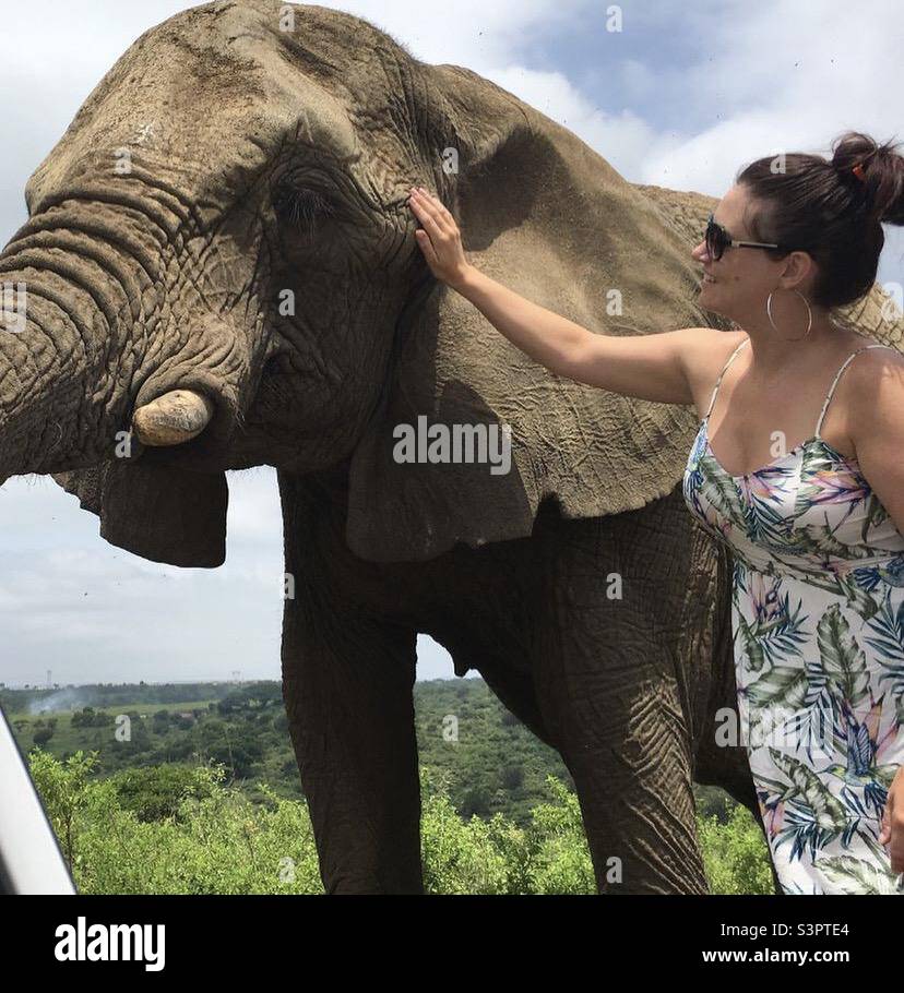 Petting an elephant hi-res stock photography and images - Alamy