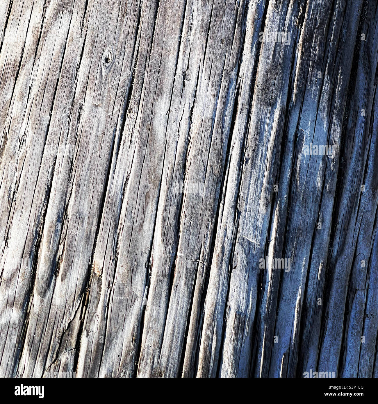 Beached wood hi-res stock photography and images - Alamy