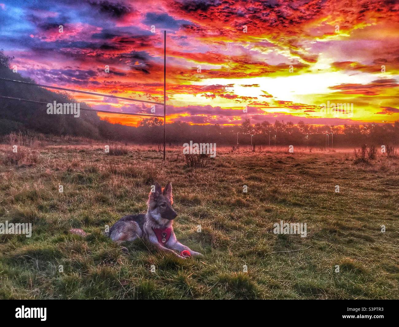 Waiting for friends Stock Photo - Alamy