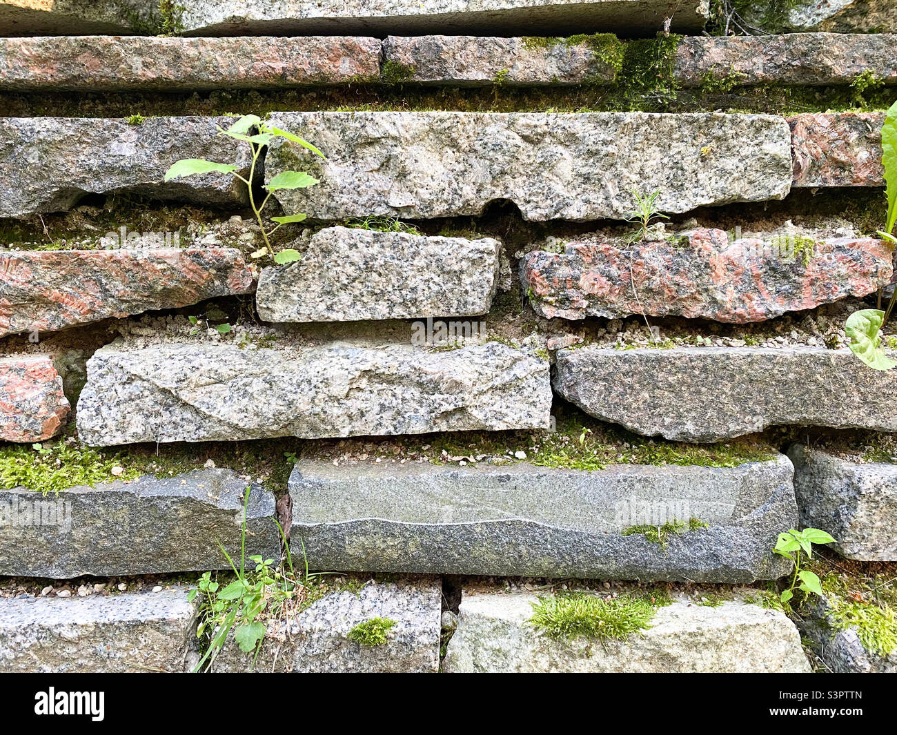 Overgrown stone texture hi-res stock photography and images - Alamy